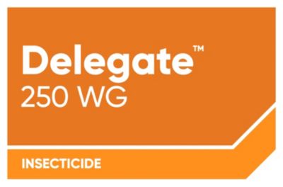 Citrus | Corteva Agriscience